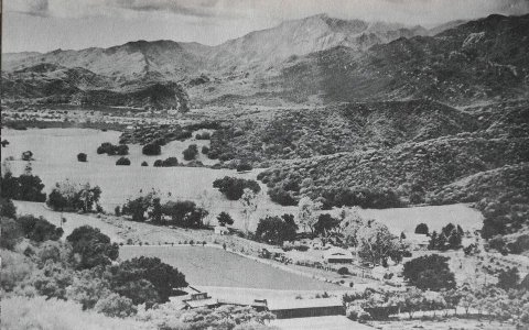 Orchid Town was an attraction in the ’40s and ’50s – Ojai History